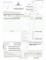 Ejemplo de Forma 5 SAT para llenar en PC | MéxicoArmado