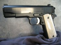 Diferencias en el Emblema Insignia de Colt (Caballo) | MéxicoArmado