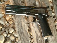 Diferencias en el Emblema Insignia de Colt (Caballo) | MéxicoArmado